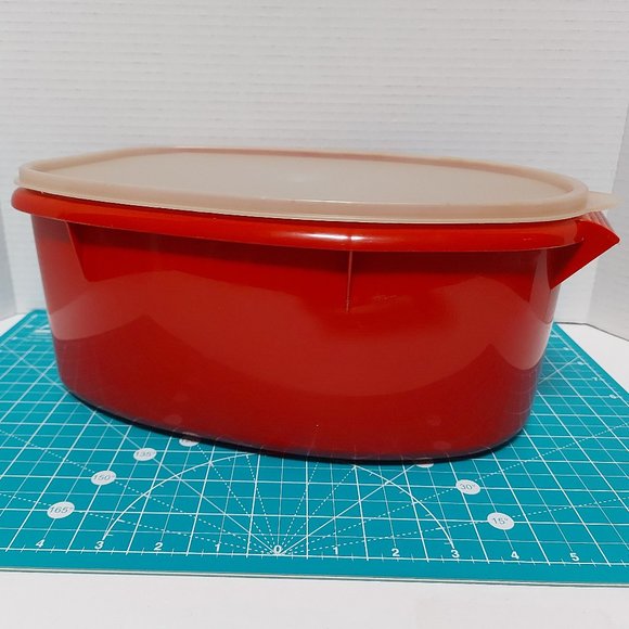 Tupperware | Kitchen | Vintage Tupperware Ham Chicken Turkey Holder 487 ...